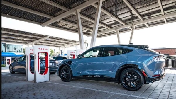 테슬라 모델3·Y '배터리 제조사 공개'...트림·차대번호별 세부 공개